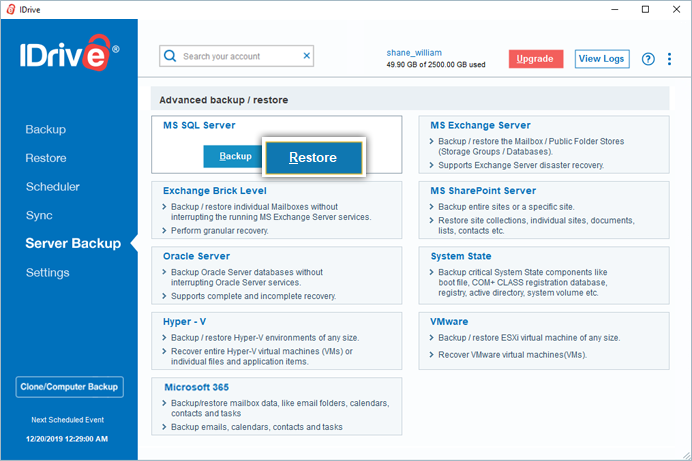 Restore SQL Server data from IDrive® Cloud
